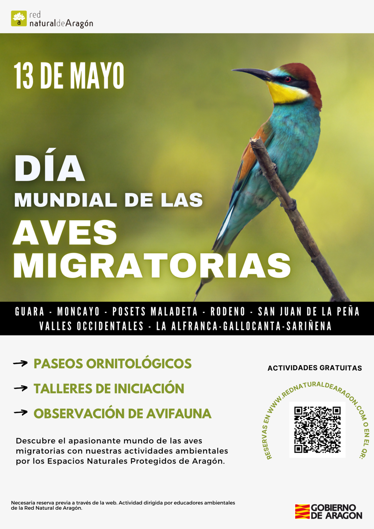 Propuestas En La Red Natural De Aragón Por El Día De Las Aves Migratorias